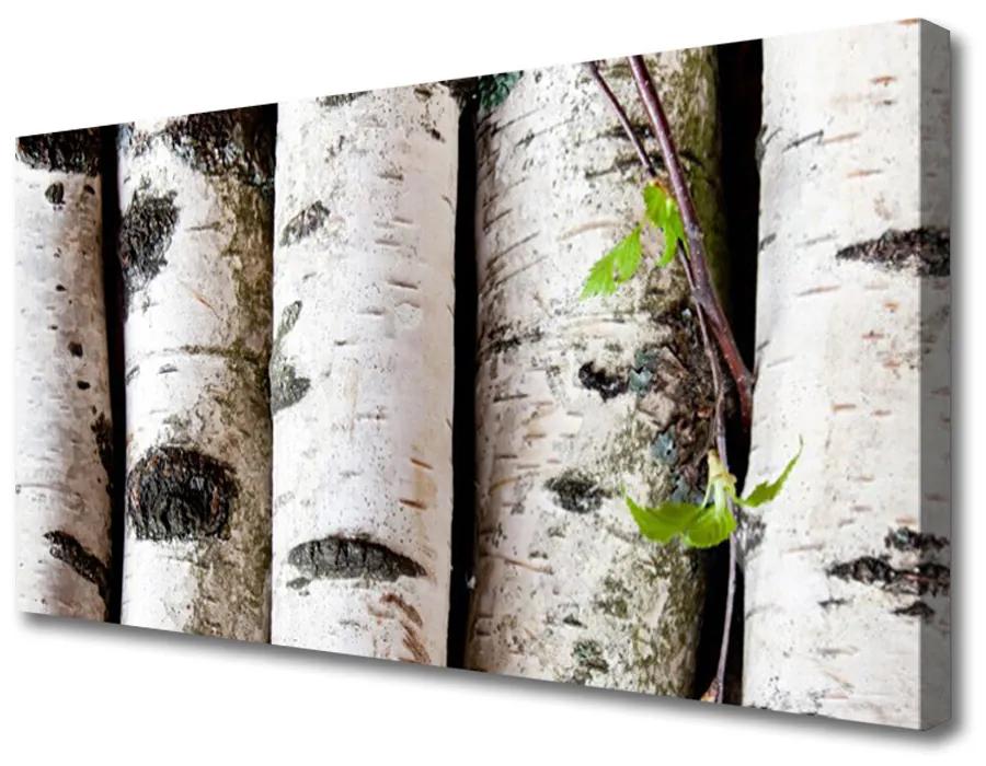 Obraz na plátně Stromy Příroda 100x50 cm