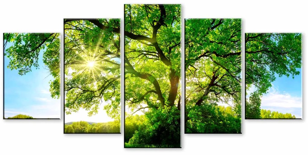 Vícedílný obraz strom Velikost (šířka x výška): 100x50 cm