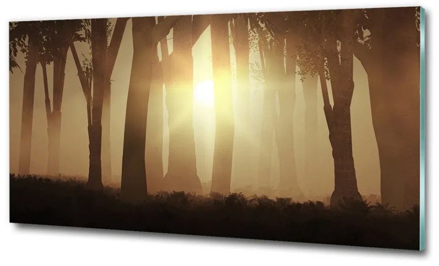 Wallmuralia Foto obraz fotografie na skle Mlha v lese 100x50
