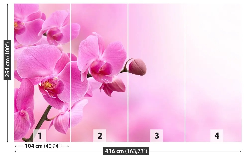 Fototapeta Růžová orchidej 104x70