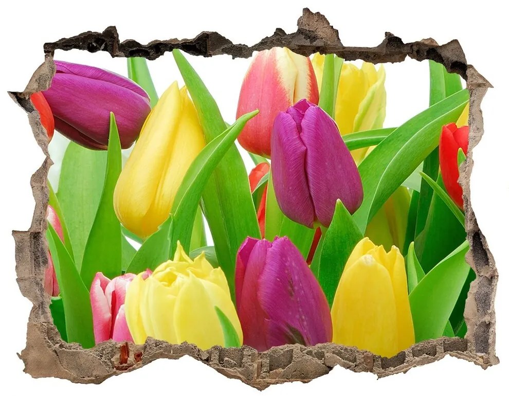 Wallmuralia Samolepící nálepka na zeď Barevné tulipány 95x64 cm