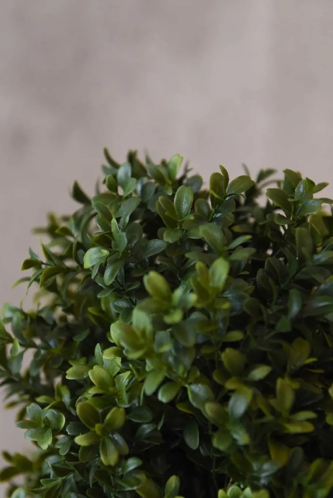 Umělý buxus BUXA, plast, výška 70 cm, zelený