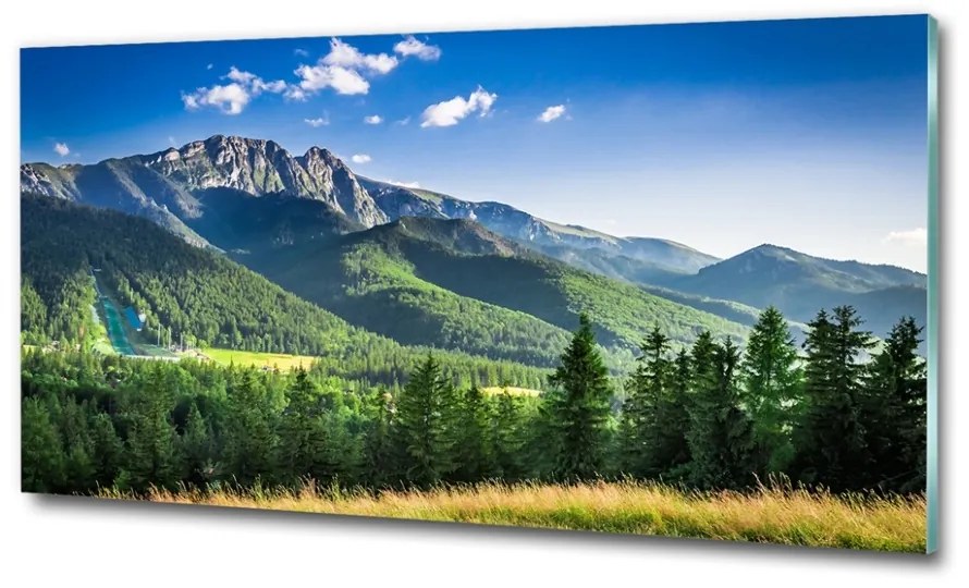 Wallmuralia Foto obraz fotografie na skle Skokanský můstek Tatry 100x50