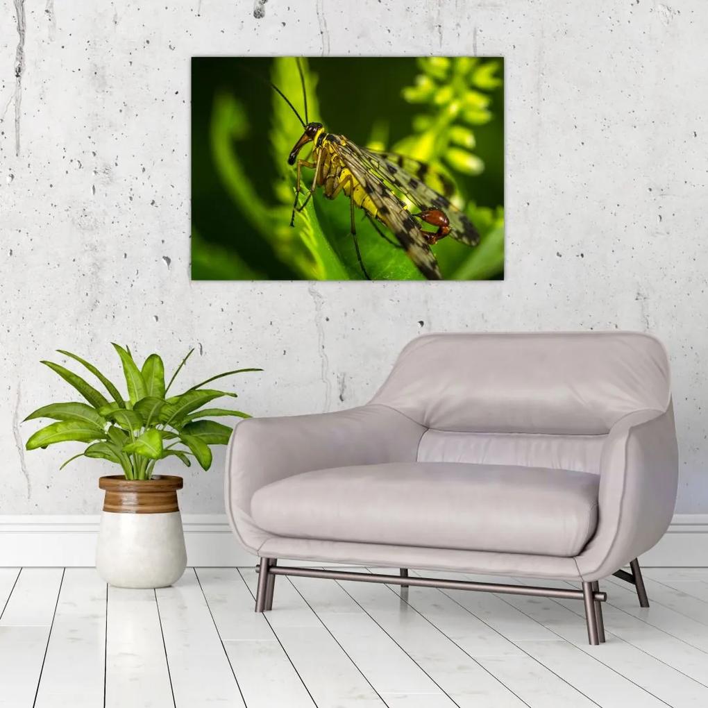 Skleněný obraz hmyzu (70x50 cm)