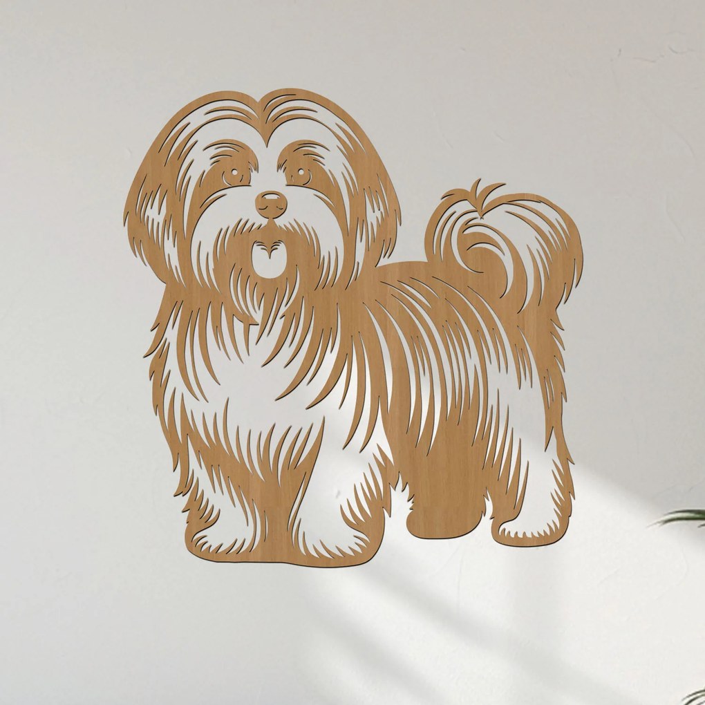dřevo života Dřevěný obraz Havanský psík (Havanese) Zvolte rozměr (cm): 38x40, Zvolte barvu dekoru: Dub zlatý
