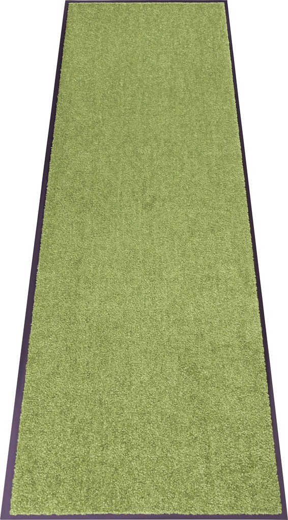 Hanse Home, Rohožka Wash & Clean 101470 Green, 60x180, zelená, chodba / předsíň