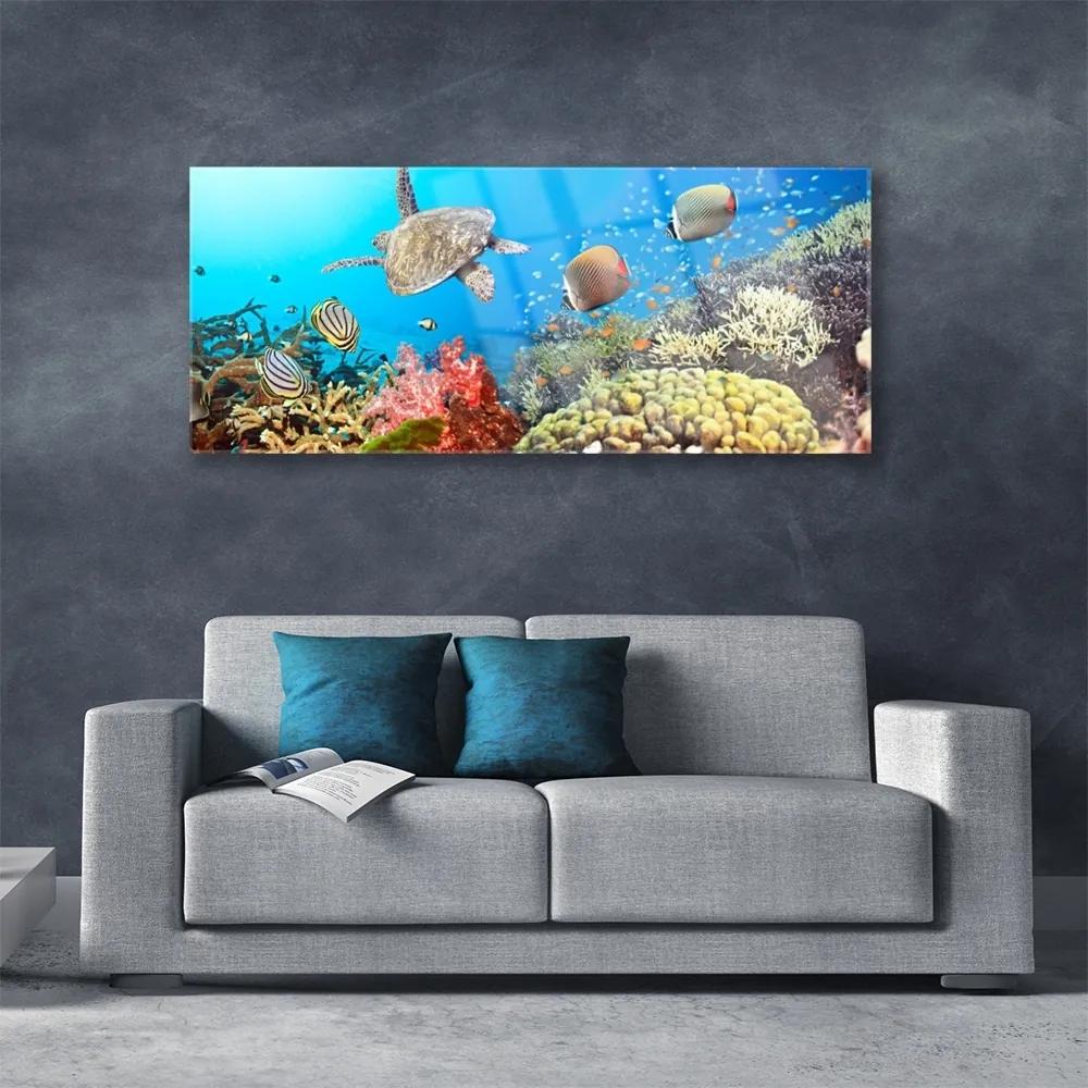 akrylový obraz Korálový Útes Krajina 125x50 cm