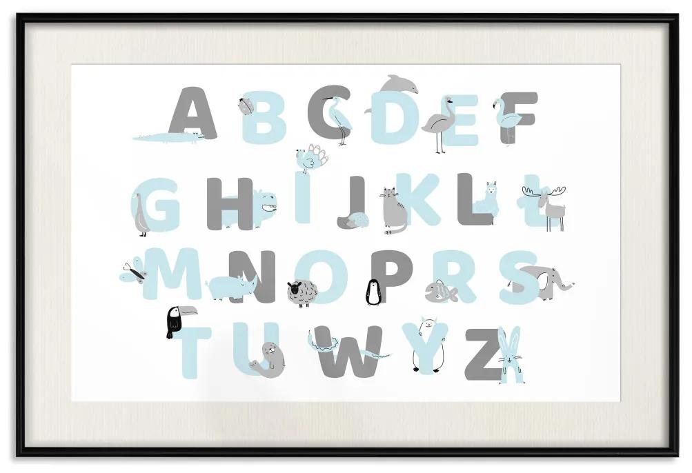 Plakát Polská abeceda pro děti - šedé a modré písmenka se zvířátky