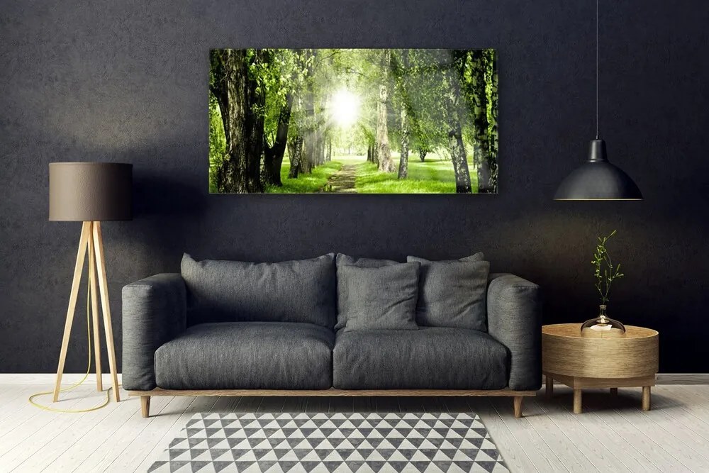 akrylový obraz Les Slunce Stezka Příroda 120x60 cm