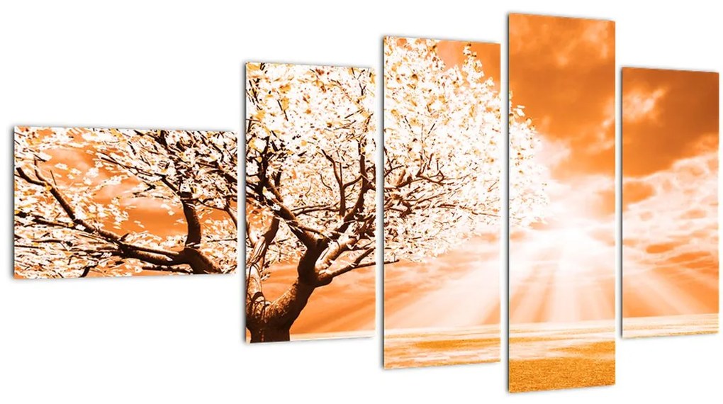 Oranžový obraz stromu (110x60 cm), 40 dalších rozměrů