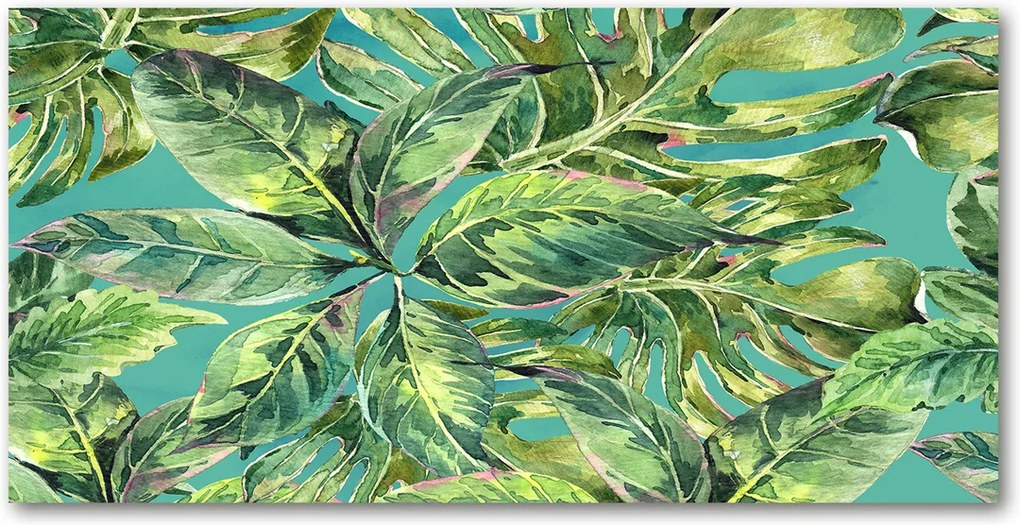 Moderní foto obraz na stěnu Tropické listí