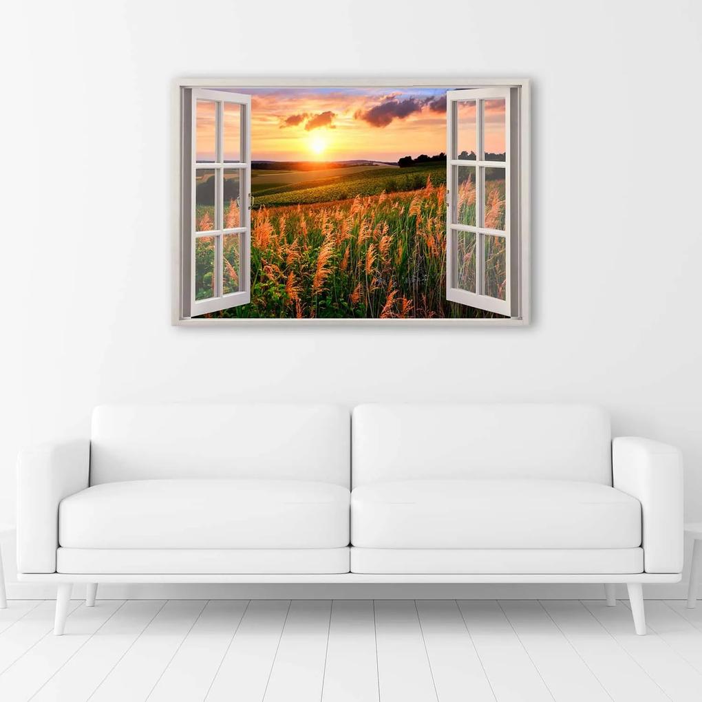 Gario Obraz na plátně Okno - pohled na pole květin Rozměry: 60 x 40 cm