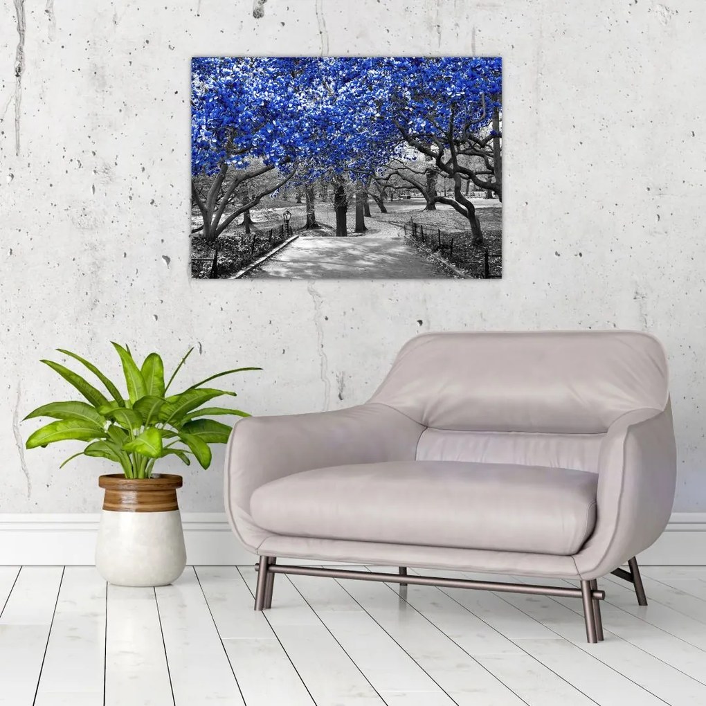Skleněný obraz - Modré stromy, Central Park, New York (70x50 cm)