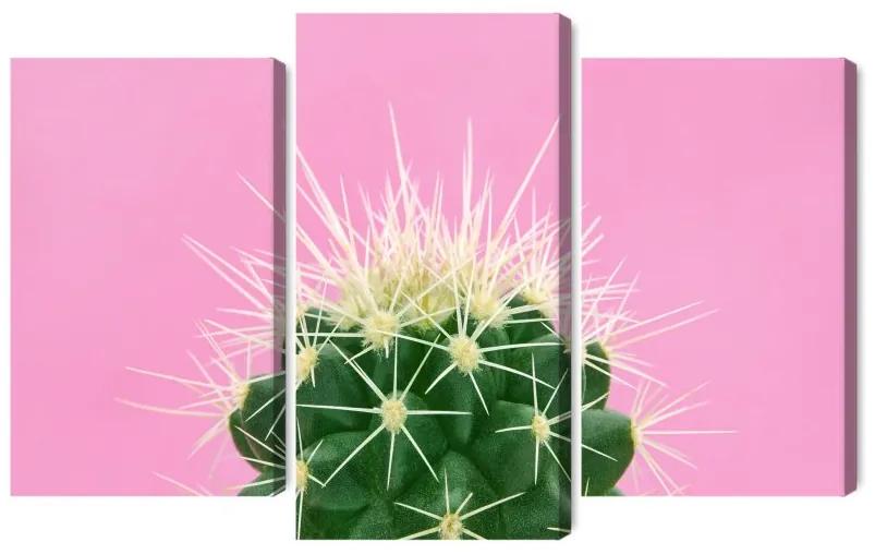 Vícedílný obraz Kaktus Na Růžovém Pozadí Nedostatek Nedostatek Přírodní plátno 90x60