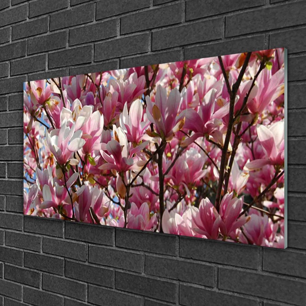 Obraz na skle Větve Květiny Rostlina 140x70 cm