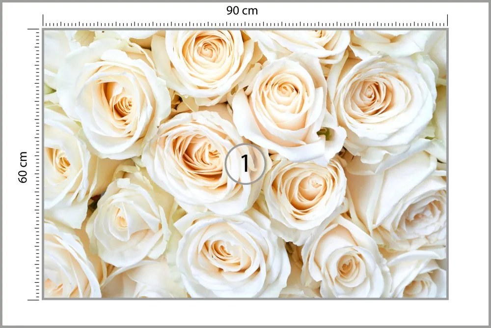 Fototapeta Krém Rose Bouquet Hladký vinyl 90x60