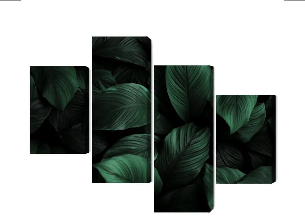 Vícedílný obraz Zelené Listy Na Makro Stupnici Nedostatek Nedostatek Přírodní plátno 240x150