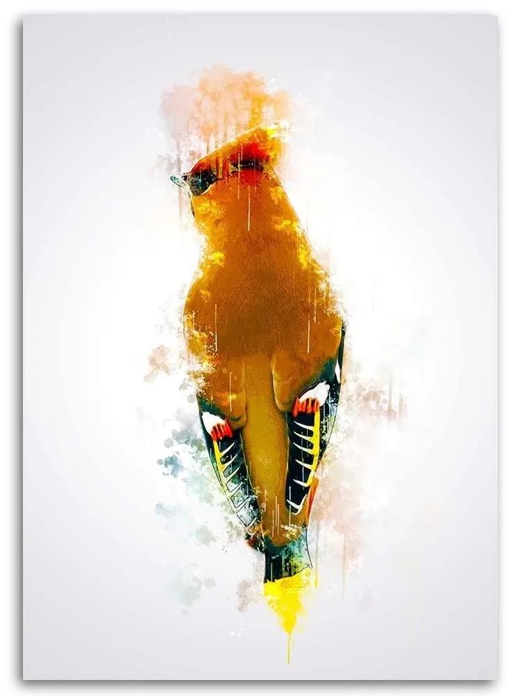 Gario Obraz na plátně Oranžový datel - Cornel Vlad Rozměry: 40 x 60 cm