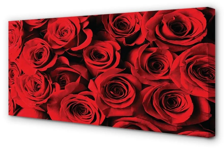 Obrazy na plátně Růže 140x70 cm