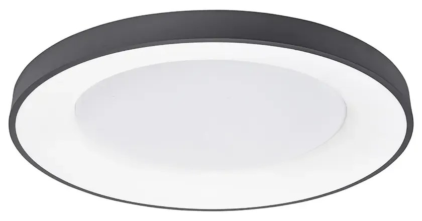 Stropní svítidlo LED se stmíváním Rando Thin 60 4000K černé