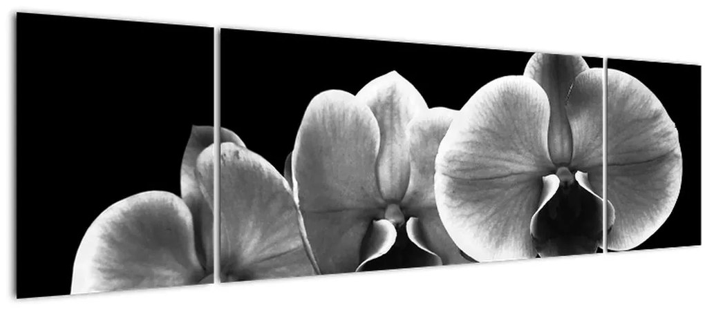 Obraz květu orchideje (170x50 cm)