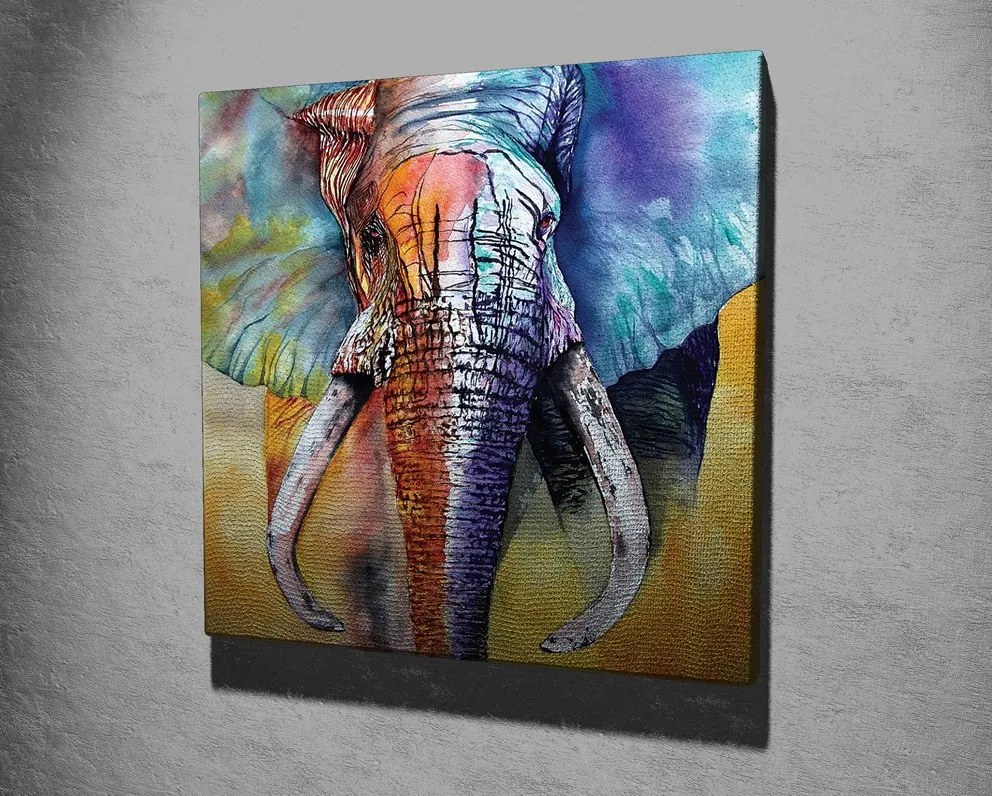 Obraz na plátně Elephant ethno KC306 50x70 cm