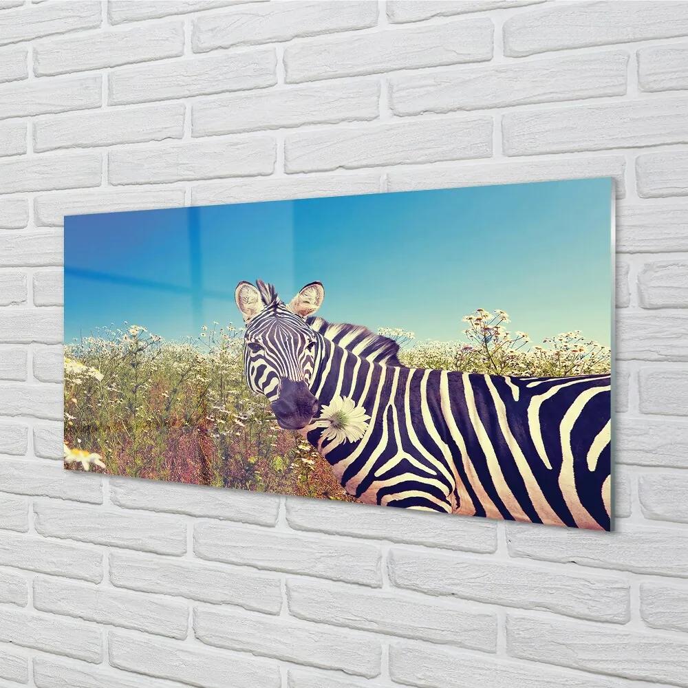 Obraz na skle zebra květiny 125x50 cm