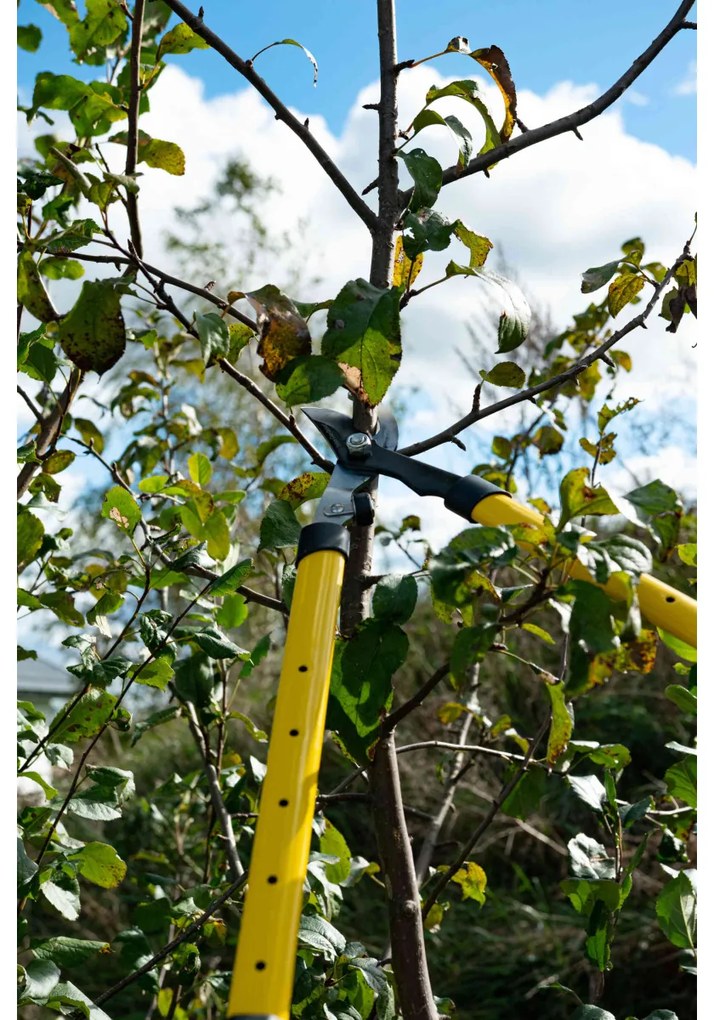 Nůžky na větve teleskopické pákové GEKO, 655-900 mm