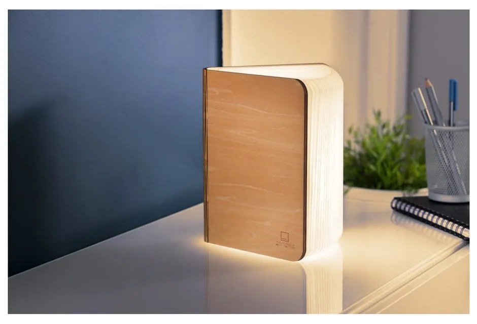 Světelná dekorace na USB v přírodní barvě Booklight – Gingko