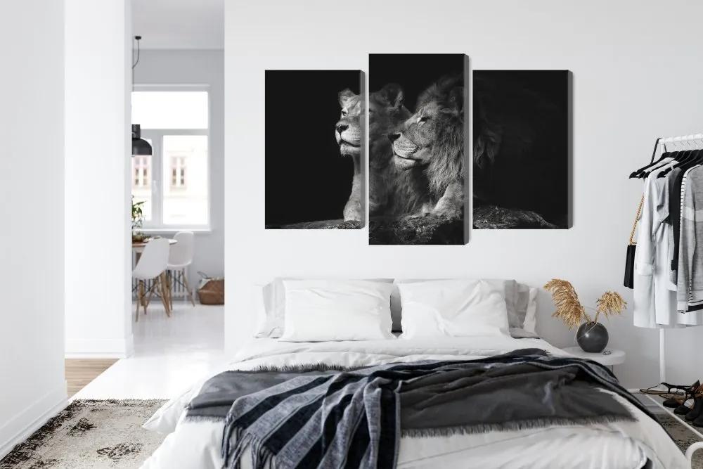 Vícedílný obraz Lev A Lvice Na Černém Pozadí Nedostatek Nedostatek Přírodní plátno 180x120