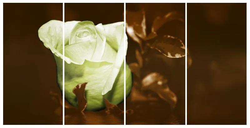 Obraz růže se zeleným květem (160x80 cm), 40 dalších rozměrů