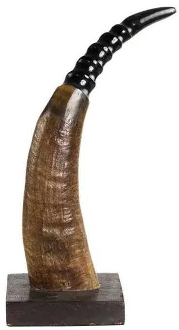 Dekorativní roh Buvol na dřevěném podstavci (bubalus bubalis) - 30cm