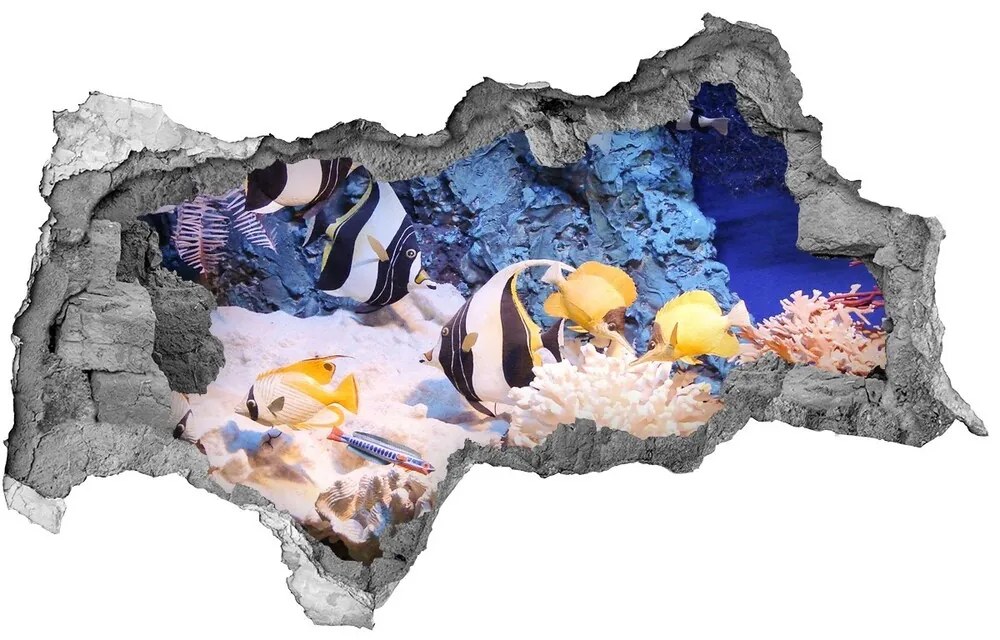 Wallmuralia Díra 3D fototapeta nálepka Korálový útes 95x73 cm