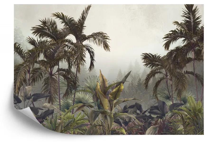 Fototapeta Tropical Trees And Leaves For Digital Printing Wallpaper, Custom Design Wallpaper - 3D Vliesová tapeta 368x254