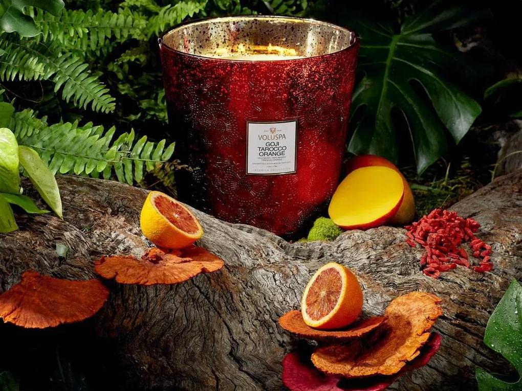 Voluspa – vonná svíčka Goji Tarocco Orange (Goji a pomeranč Tarocco), 3500 g
