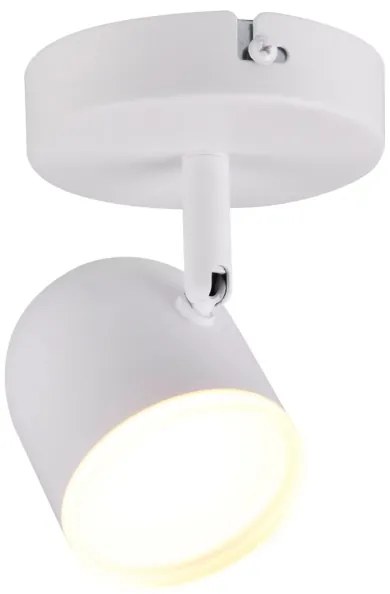 LED Nástěnné bodové svítidlo RAWI LED/4,2W/230V bílá