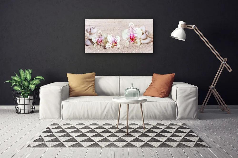 Obraz na plátně Orchidej Kameny Zen Písek 100x50 cm