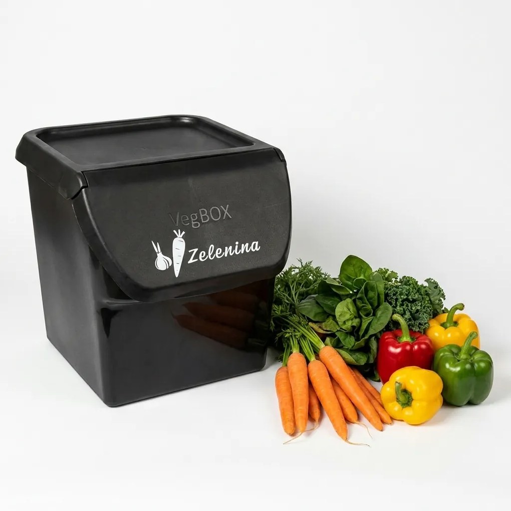 VILDE Úložný box na brambory a cibuli s větráním, VEGBOX černý (14l - 5-8kg brambor)