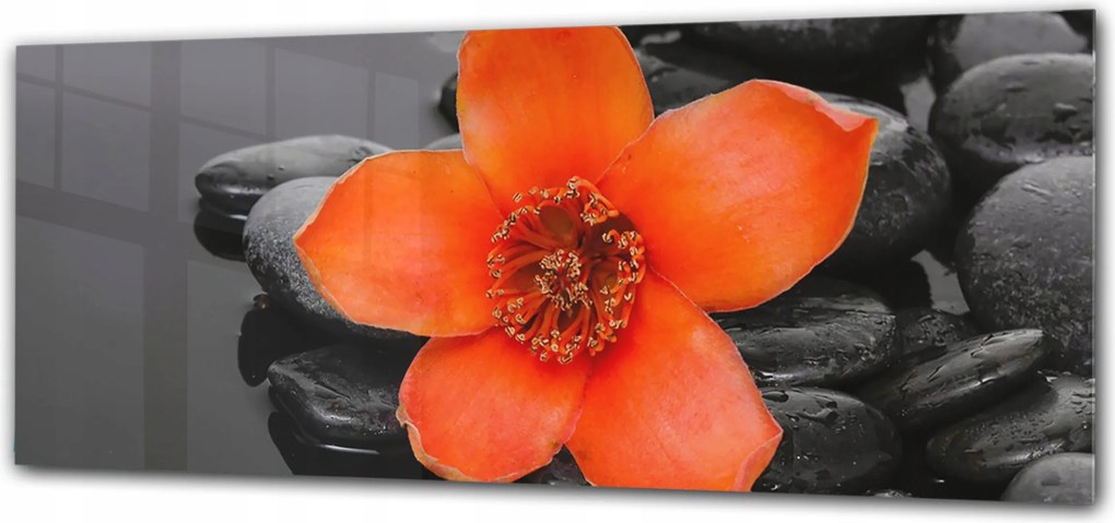 Skleněný obraz do obývacího pokoje 150x60 s potiskem květin