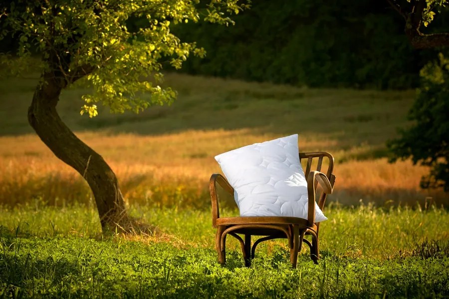 Lavinest Letní set Silver Origin Rozměr: set: 50x70 cm zip (500 g) + 140x200 cm (150 g/m²)