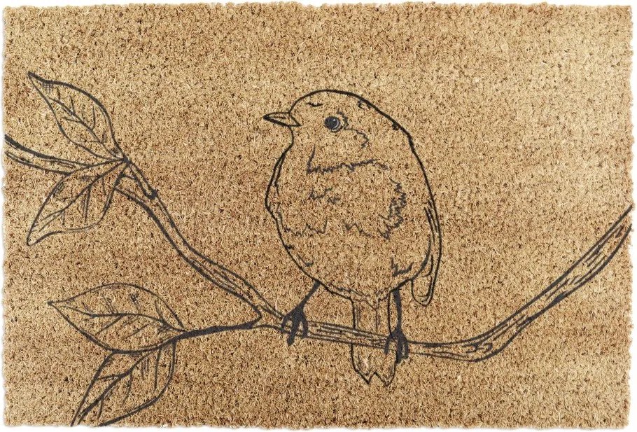 Rohožka z kokosového vlákna 40x60 cm Pencil Robin – Artsy Doormats
