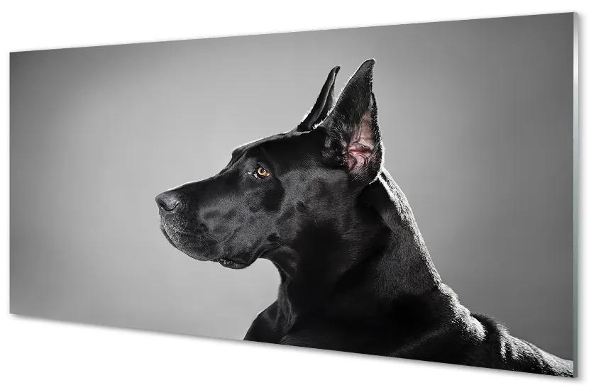 akrylový obraz Černý pes 125x50 cm
