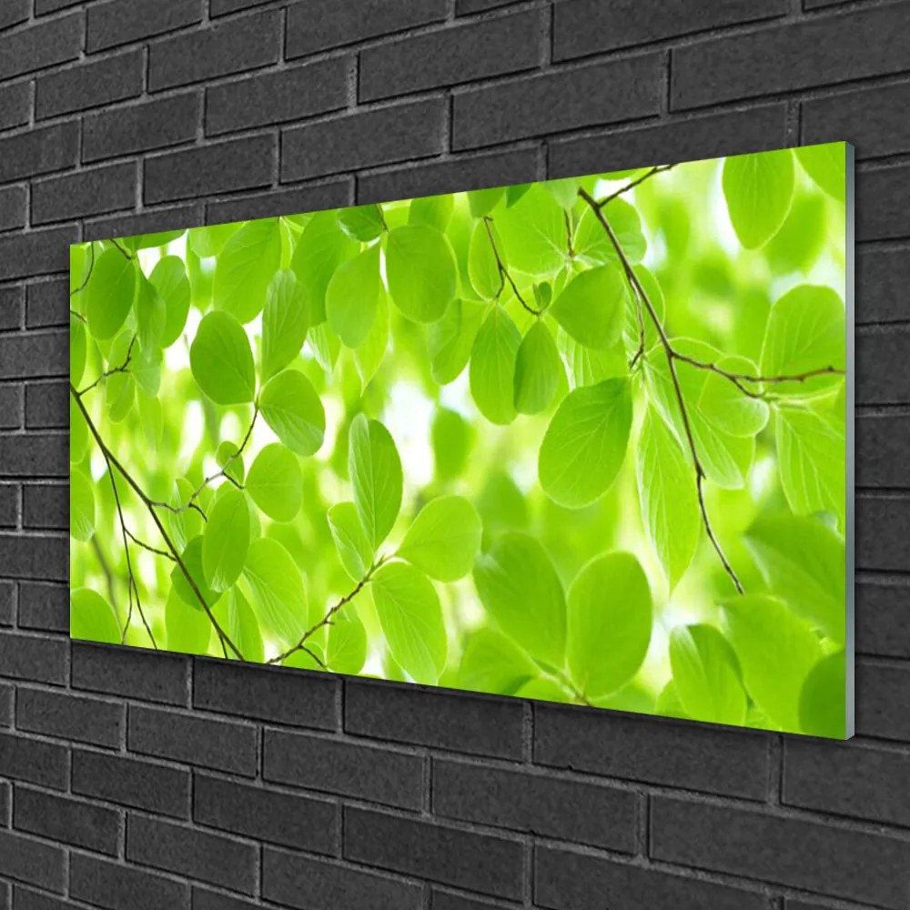 Obraz na skle Listy Příroda 100x50 cm