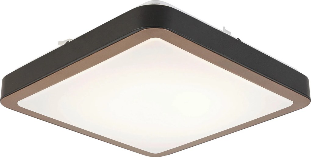 XXXLutz STROPNÍ LED SVÍTIDLO, 37/37/8 cm Novel - Stropní svítidla - 008227164502