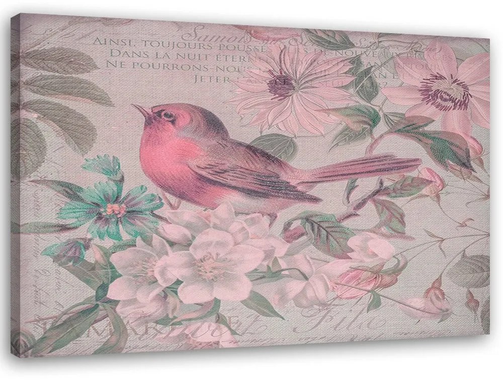 Gario Obraz na plátně Pták v květu - Andrea Haase Rozměry: 60 x 40 cm