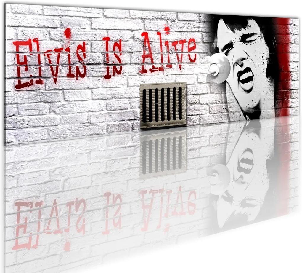 Obraz - Elvis žije - 120x40