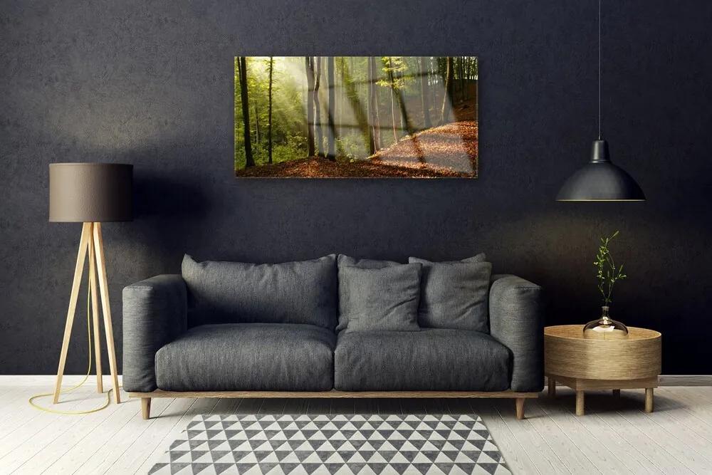 Obraz na skle Les Stromy Příroda 125x50 cm
