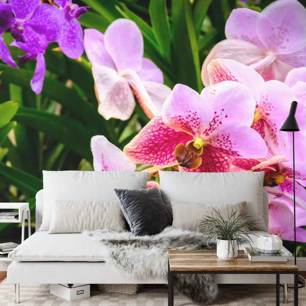 Fototapeta Barevné Orchideje 3D Hladký vinyl 254x184