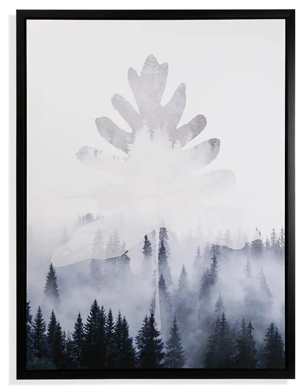 Obraz Versa Leaf Cloudy Forest, 60 x 80 cm