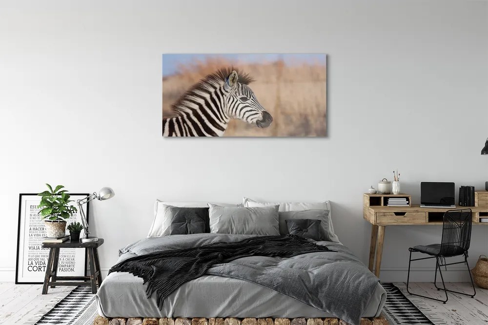 akrylový obraz zebra 125x50 cm